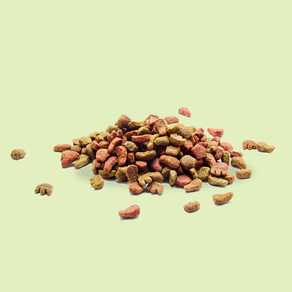 Cat Biscuits: Buy Biscuits for Cats Online in India | Supertails