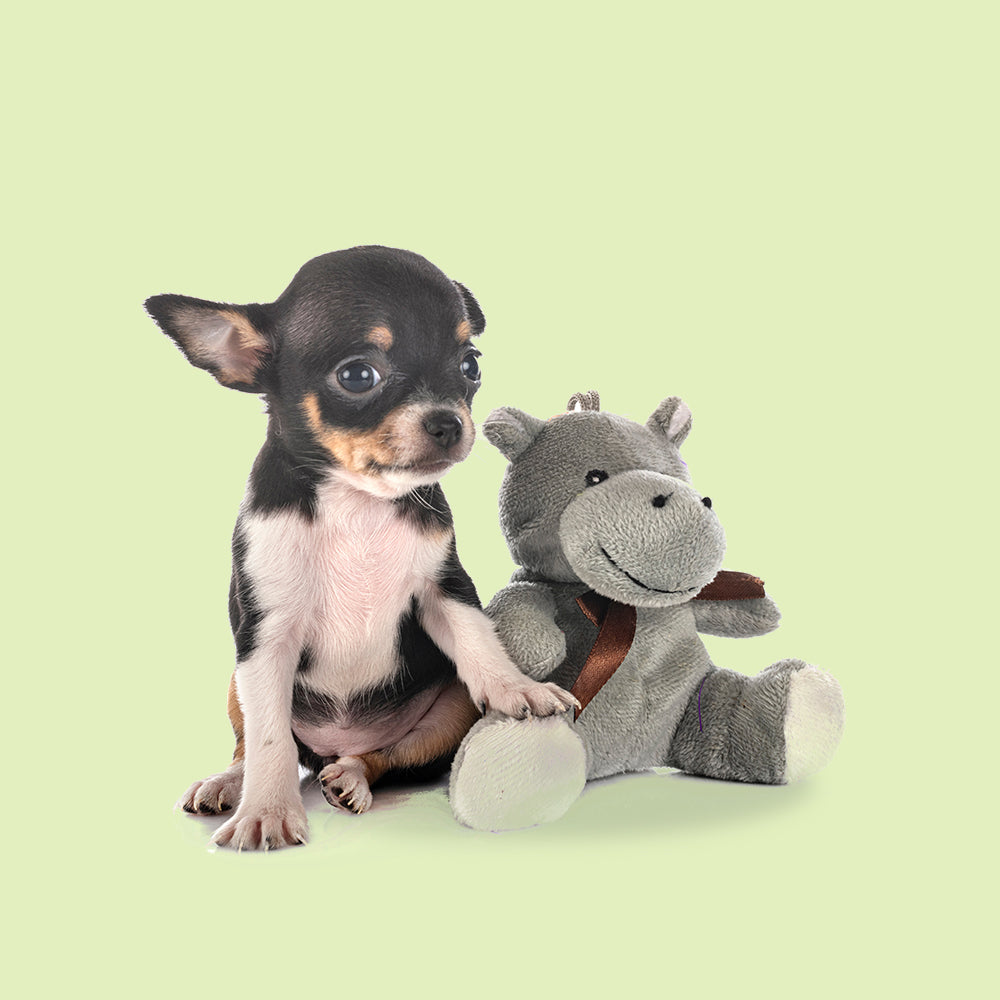 Buy Dog Soft Toys Online at the Best Price in India | Supertails
