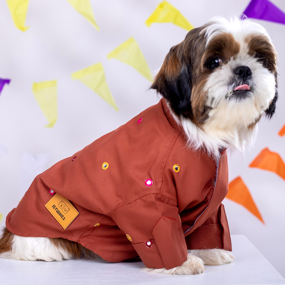 15 Furries Mirrorwork Kurta for Dogs (Rust Orange) | Supertails