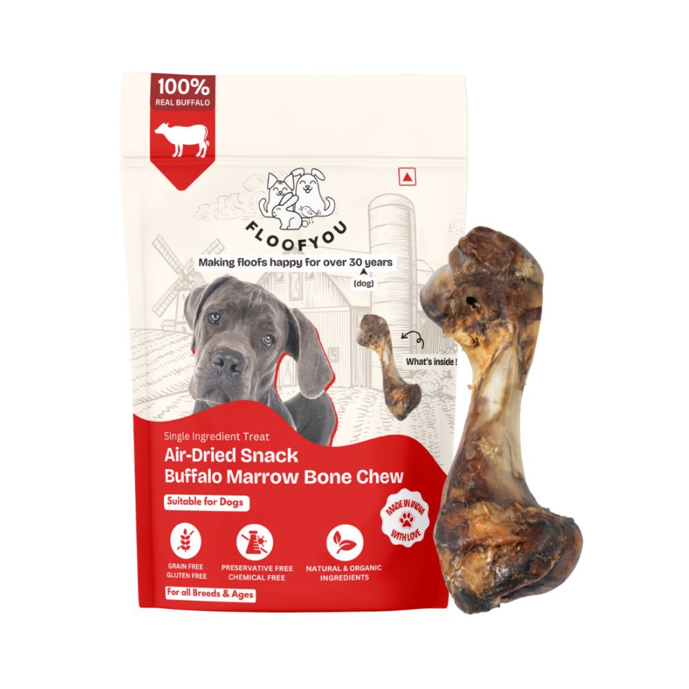 Buy FloofYou Air Dried Buffalo Marrow Bone Chew Dog Treats online at ...