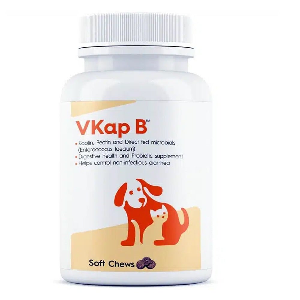 Vvaan Vkap B For Dogs Cats for Digestive care | Supertails