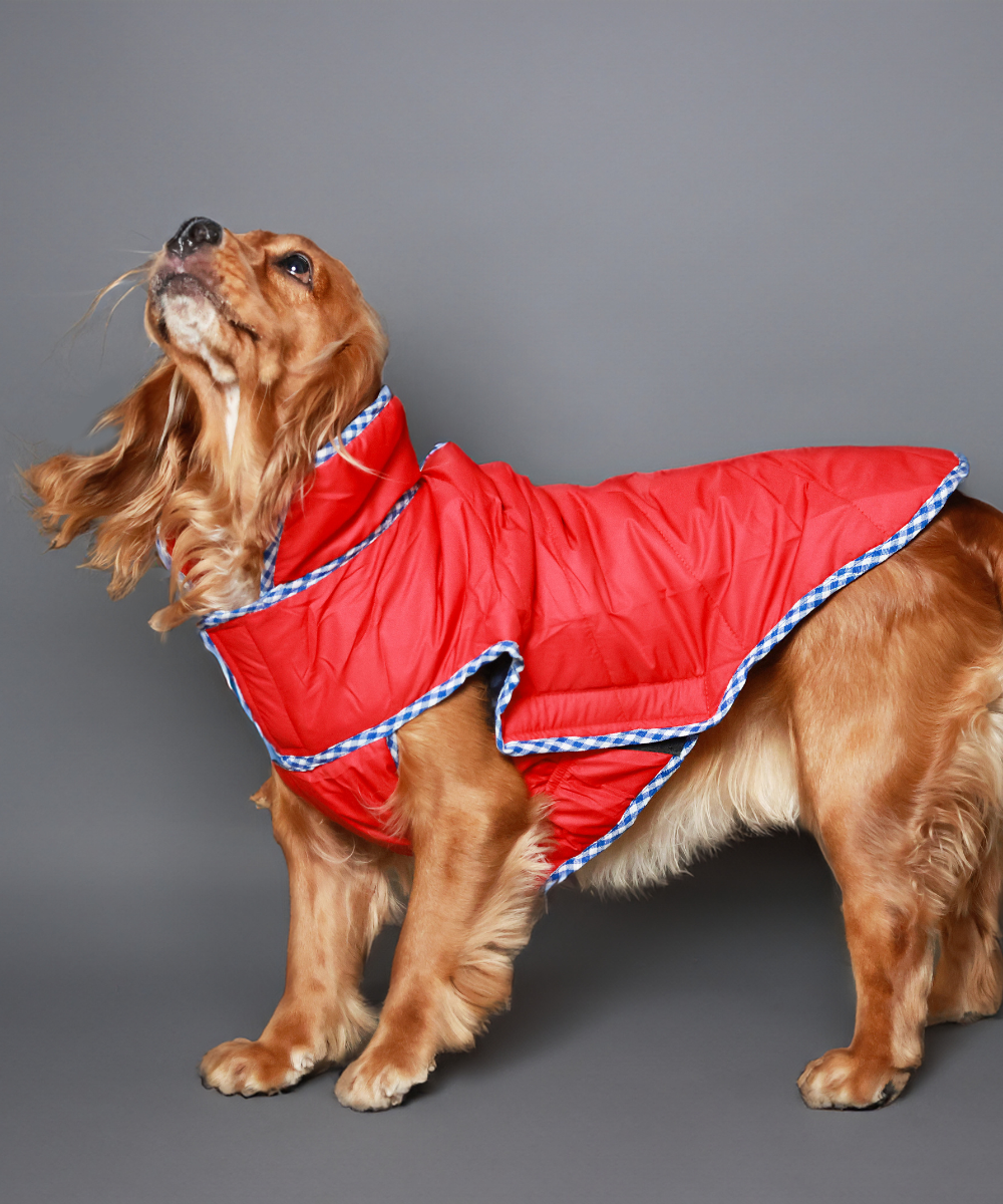Buy Pet Set Go Wind sheeter Jackets for Dogs (Red) online at Supertails.com