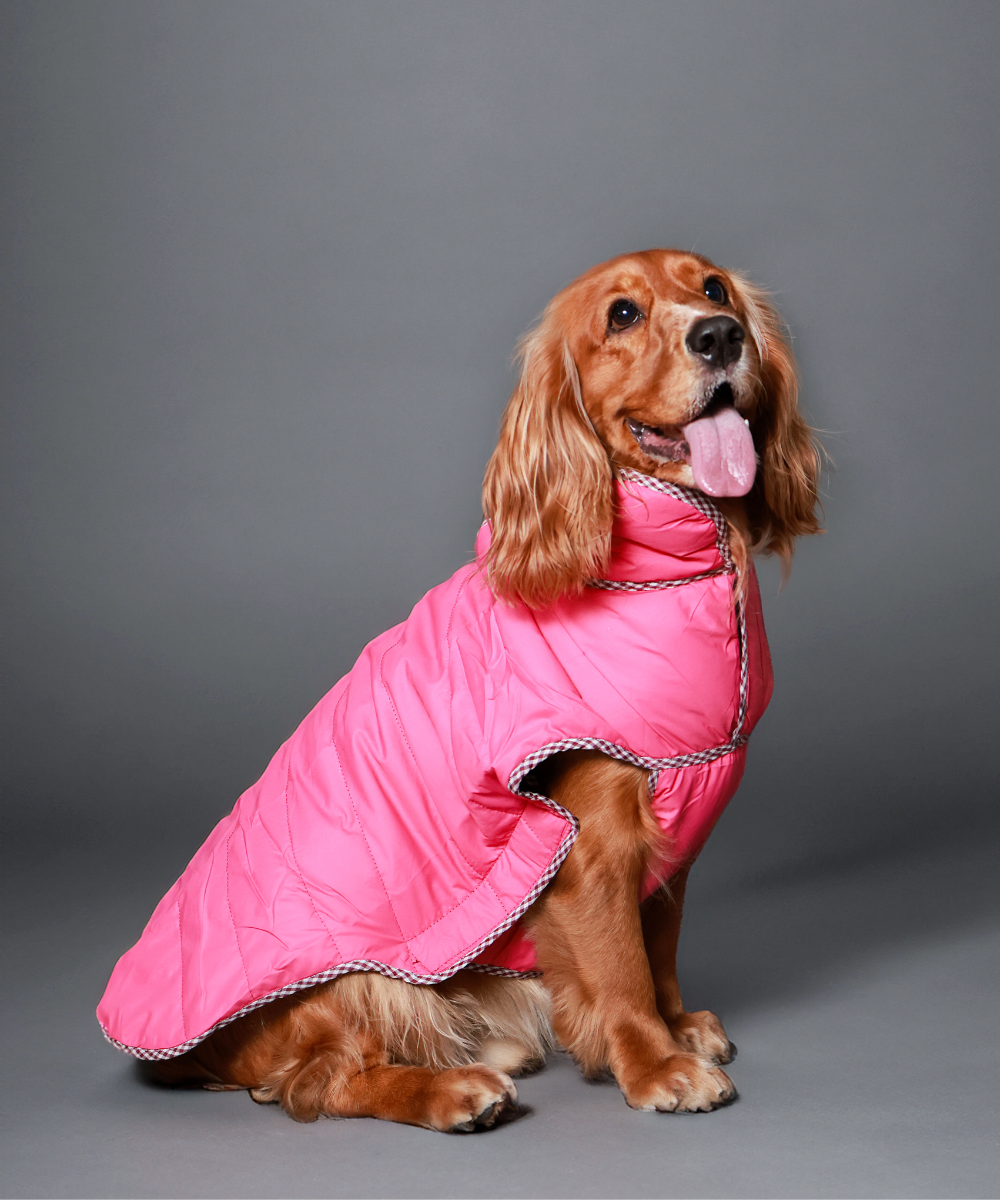 Buy Pet Set Go Wind sheeter Jackets for Dogs (Red) online at Supertails.com