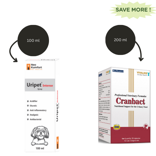 Buy Neo Kumfurt Uripet Intense Syrup Online in India | Supertails