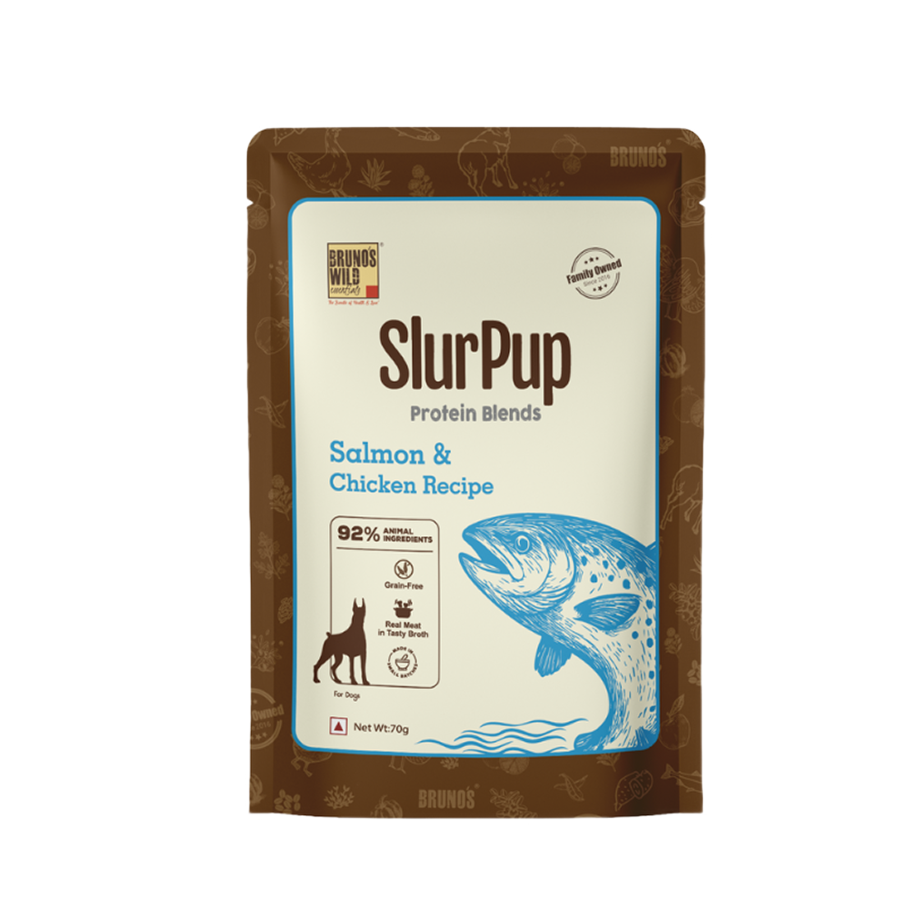 Buy Bruno's Wild Essentials Slurpup Salmon & Chicken Recipe Dog Wet ...