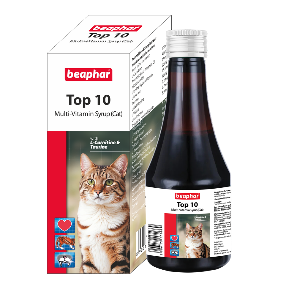 Buy Beaphar Top 10 Multi Vitamin Syrup Supplement for Cats online at ...