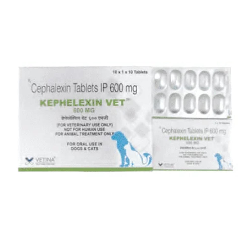 Buy Vetina Kephelexin Vet 600mg (Cephalexin) Tablet for Dogs and Cats ...