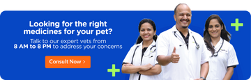 Ivermectin: Buy Intas Neomec Tablets for Dogs Online | Supertails