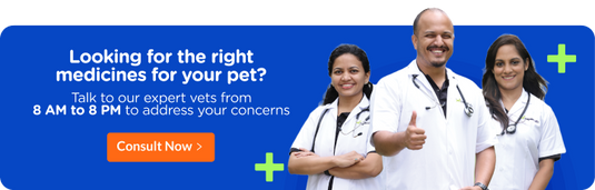 Intas Kiskin Lotion for Skin Care in Pets | Supertails