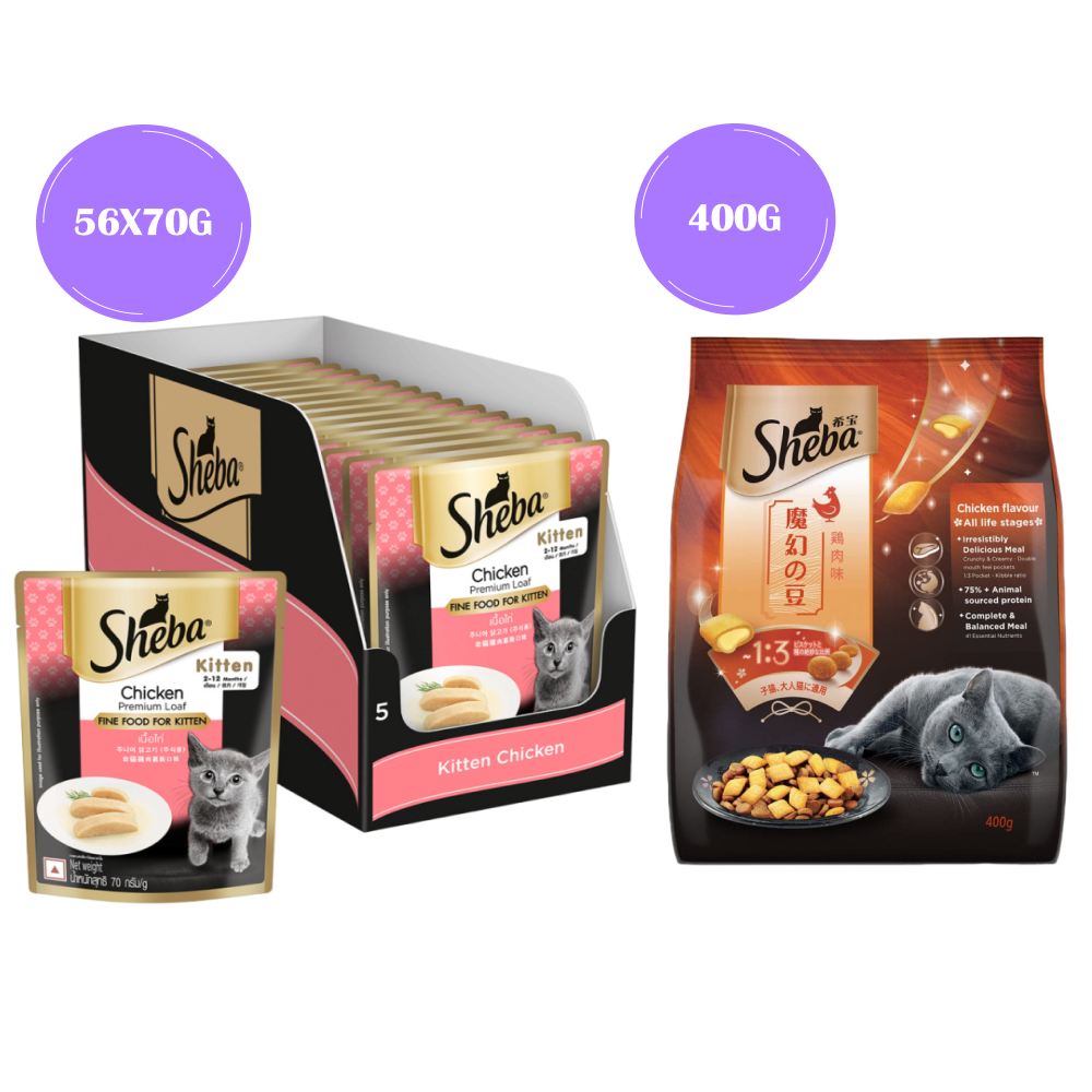 Buy Sheba Chicken Loaf Rich Premium Kitten (2 to 12 Months) Fine Wet ...