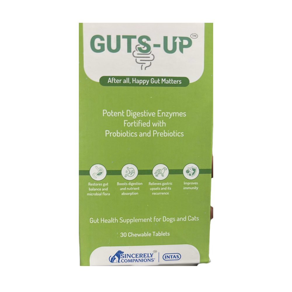 Intas Guts up digestive health supplement for Dogs and Cats | Supertails