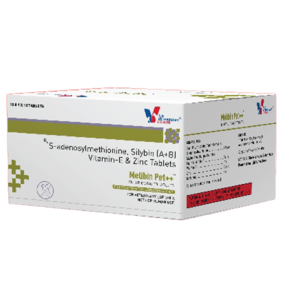 Drools Melibin Pet Tablets for Dogs: Liver Support Supplement | Supertails