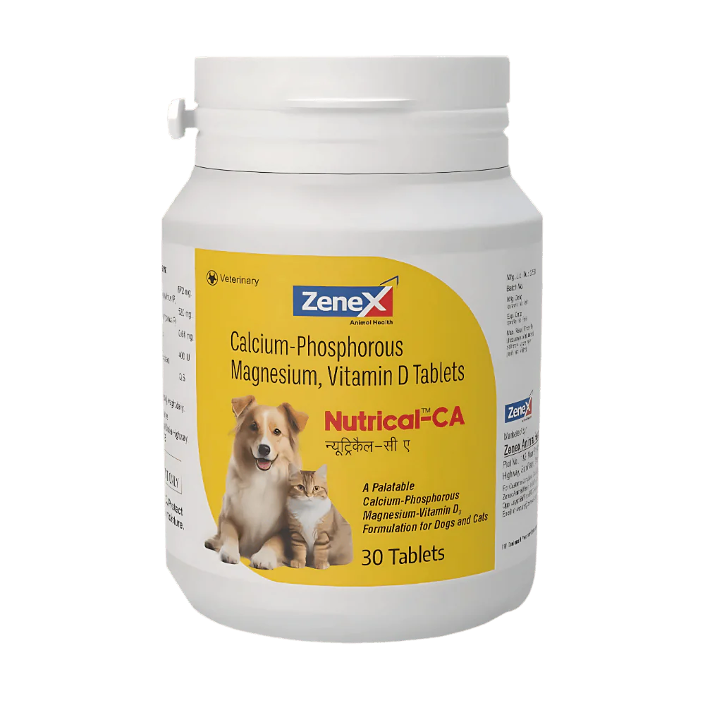 Zenex Nutrical CA Tablets Supplements for Dogs and Cats | Supertails