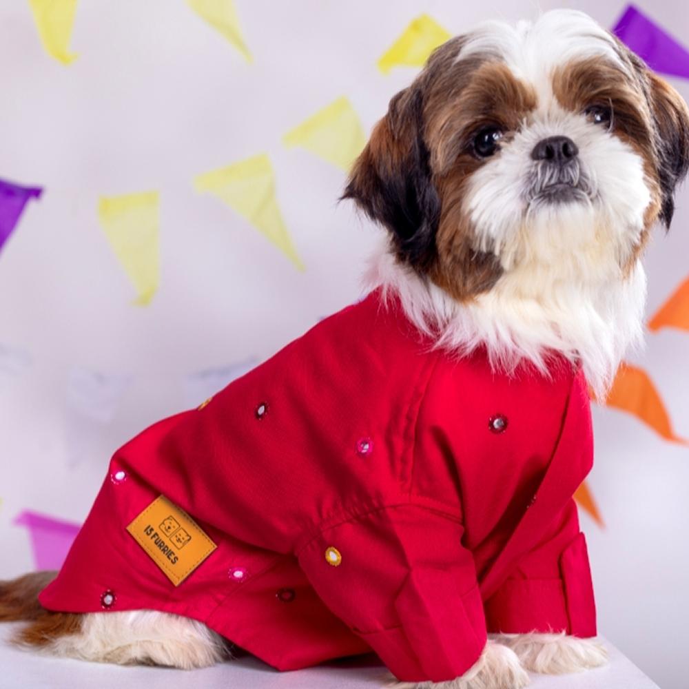 Buy 15 Furries Mirrorwork Kurta for Dogs (Electric Red) online at ...