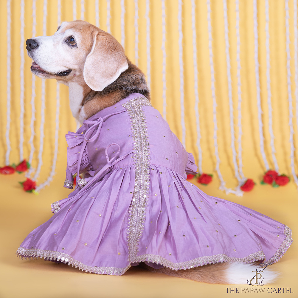 The Papaw Cartel Embroidered Indian Angarkha for Dogs & Cats (Lilac ...
