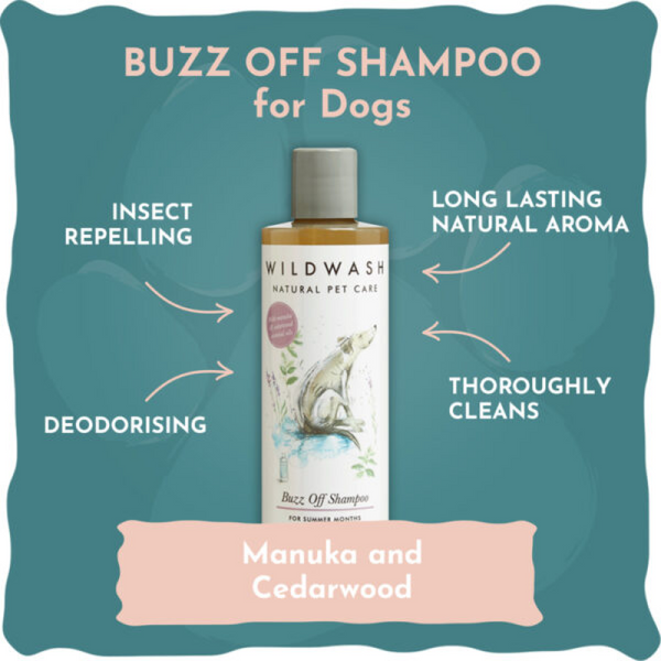 WildWash Shampoo Buzz Off for Dogs and Cats | Supertails