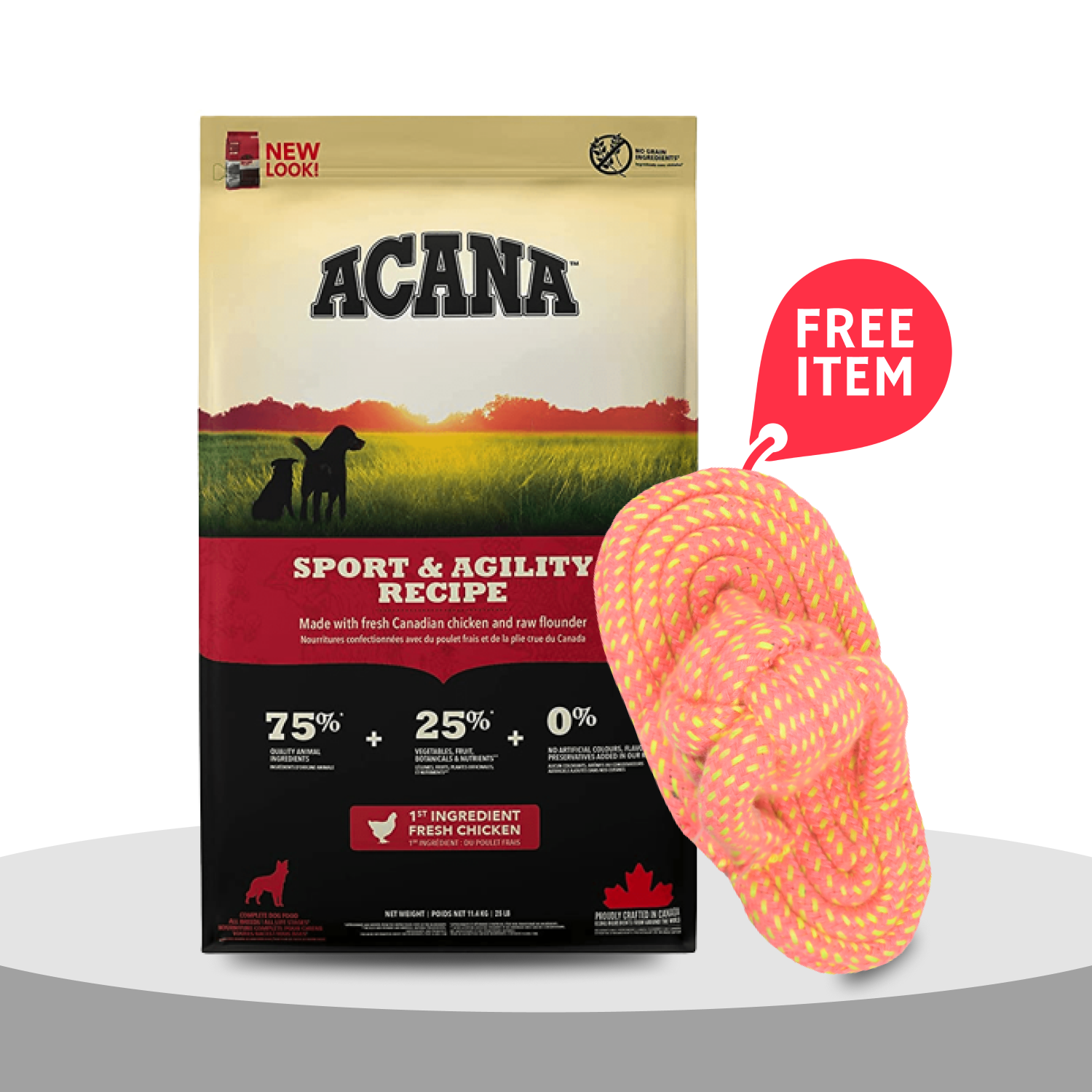 Pet Friendly Villas From Stayvista