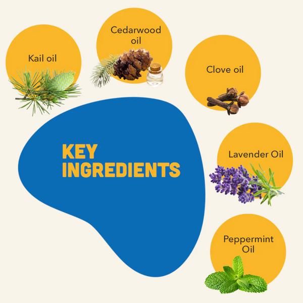 Buy Natural Remedies Reliflam Itch Relief Spray for Dogs and Cats ...