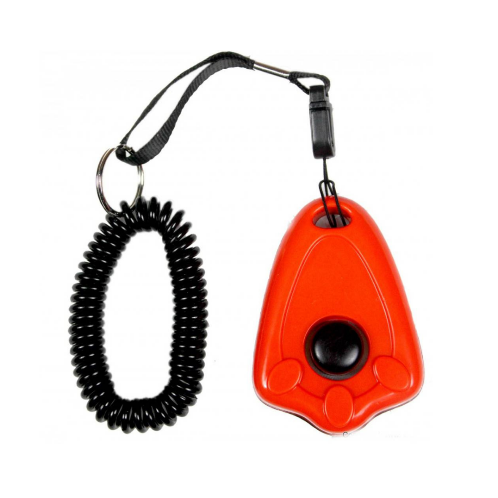 Buy Trixie Clicker with Spiral Wrist Loop Training Aid for Dogs Online ...