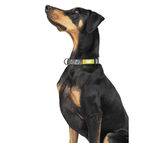 Buy Zoomiez Bolt Printed Collar for Dogs Online | Supertails