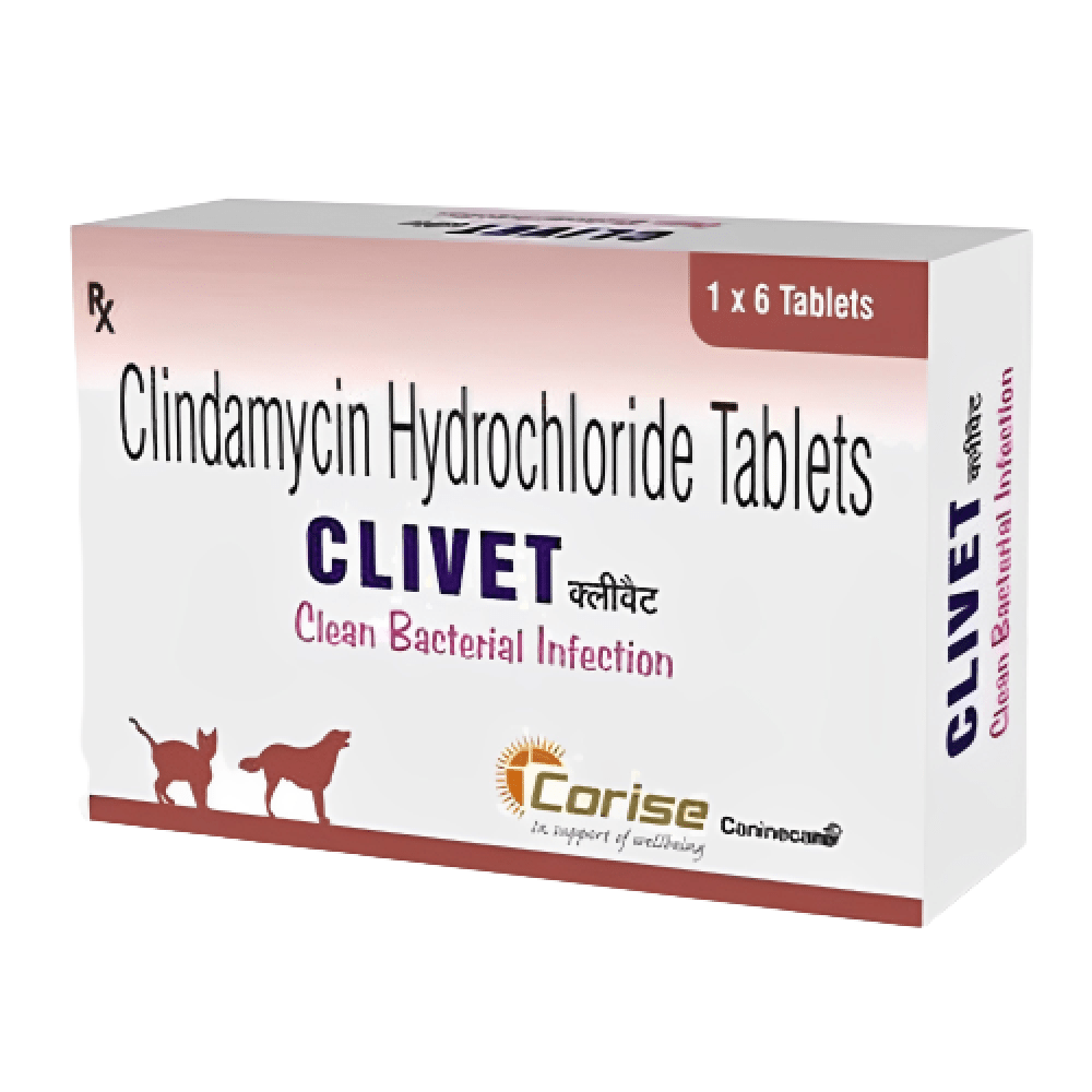 Frame12230-960267_1800x1800.png?v=1696450805